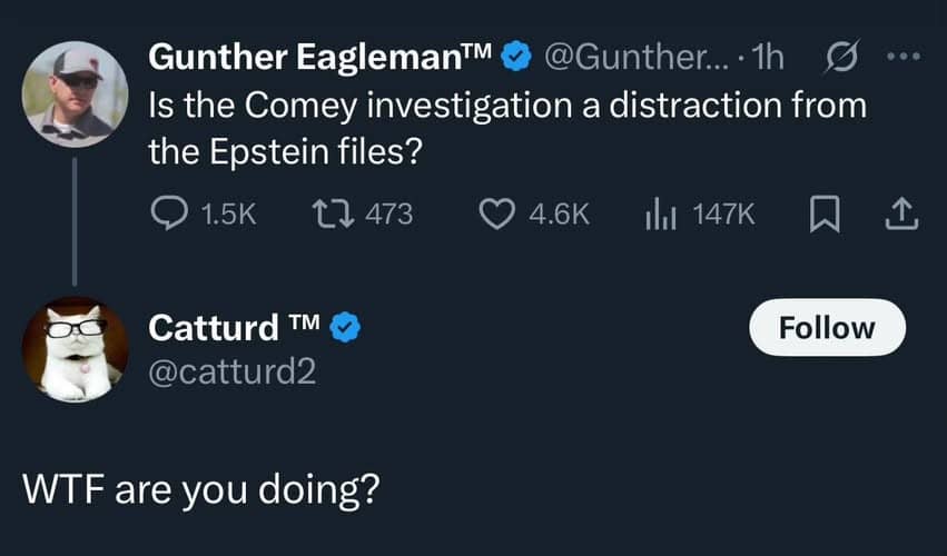 Why Gunther Eagleman’s satire is winning the internet