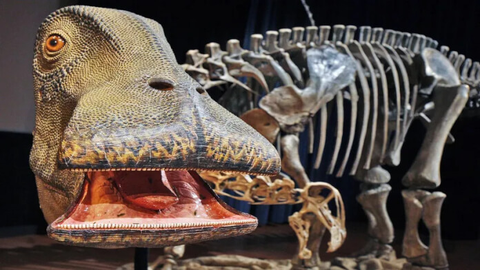 Nigersaurus: The Mesozoic Cow With Over 500 Teeth